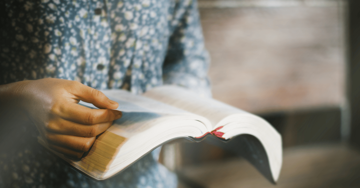 Daily Mass Readings