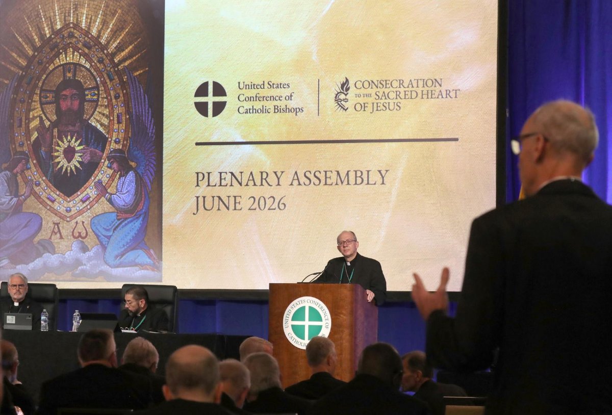 US bishops approve updates to landmark child protection policies ...