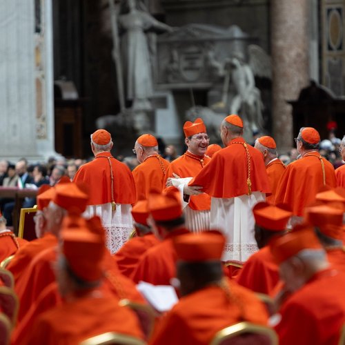 Toronto Cardinal Leo finds strength in prayer, Mary, supporters - The B ...